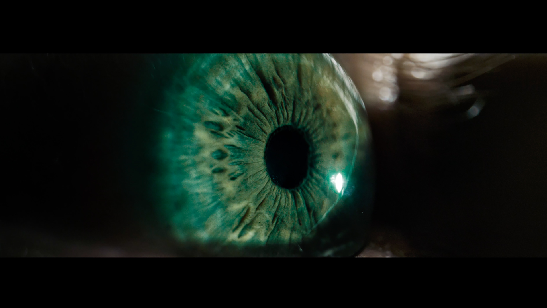 Intensity Driven - UNIT